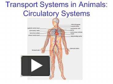Transport Systems in Animals: Circulatory Systems presentation | free to view