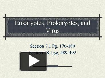 Eukaryotes, Prokaryotes, and Virus presentation | free to view