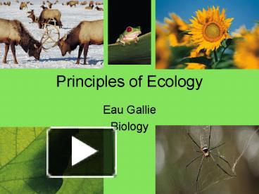 PPT – Principles of Ecology PowerPoint presentation | free to view - id ...