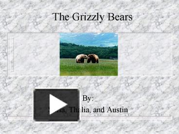 The Grizzly Bears presentation | free to view