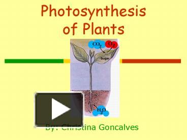 PPT – Photosynthesis of Plants PowerPoint presentation | free to view ...