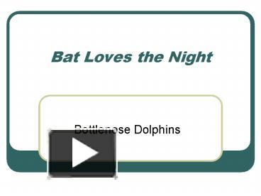PPT – Bat Loves the Night PowerPoint presentation | free to view - id ...