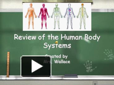 Review of the Human Body Systems presentation | free to view