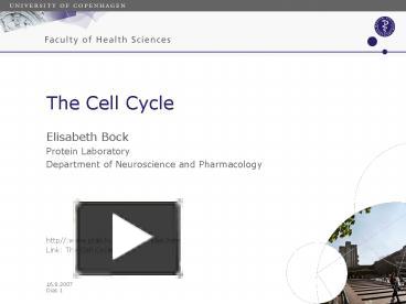 The Cell Cycle presentation | free to view