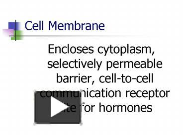 Cell Membrane presentation | free to view