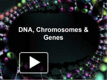 PPT – DNA, Chromosomes PowerPoint presentation | free to view - id ...