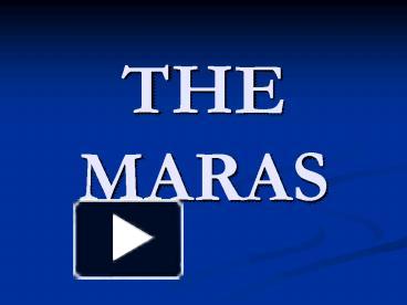 THE MARAS presentation | free to view