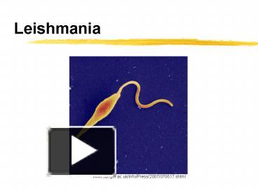 Leishmania presentation | free to view