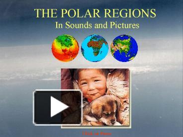 PPT – THE POLAR REGIONS PowerPoint presentation | free to view - id ...