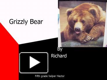 Grizzly Bear presentation | free to view