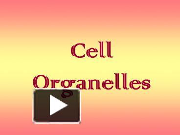 PPT – Cell Organelles PowerPoint presentation | free to view - id ...