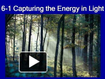 PPT – 61 Capturing the Energy in Light PowerPoint presentation | free ...