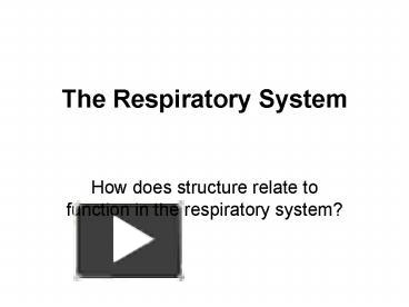 PPT – The Respiratory System PowerPoint presentation | free to view ...