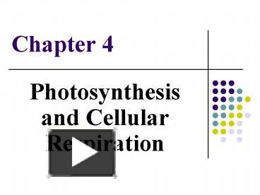 PPT – Photosynthesis and Cellular Respiration PowerPoint presentation ...