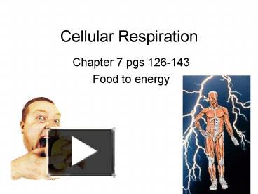 Cellular Respiration presentation | free to view