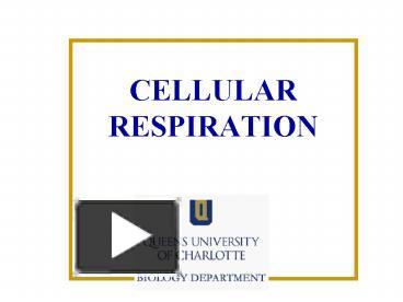 PPT – CELLULAR RESPIRATION PowerPoint presentation | free to view - id: 205320-ZDc1Z