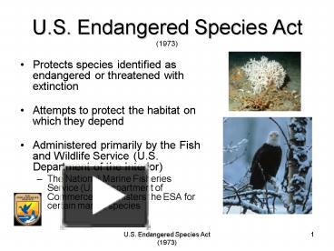 PPT – U.S. Endangered Species Act 1973 PowerPoint presentation | free ...