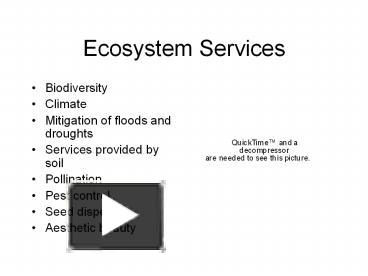 PPT – Ecosystem Services PowerPoint presentation | free to view - id ...