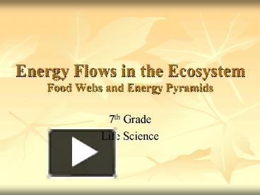 Energy Flows in the Ecosystem Food Webs and Energy Pyramids ...