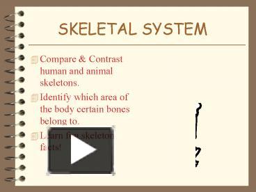 PPT – SKELETAL SYSTEM PowerPoint presentation | free to view - id ...