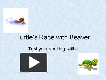 Turtles Race with Beaver presentation | free to view