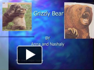 Grizzly Bear presentation | free to view