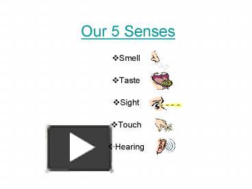 PPT – Our 5 Senses PowerPoint presentation | free to view - id: 20ec1-MWQ3N