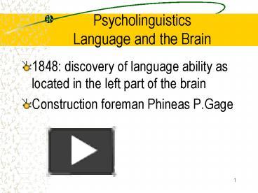 Psycholinguistics Language and the Brain presentation | free to view