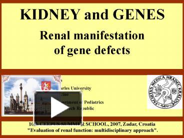 Prezentace aplikace PowerPoint presentation | free to view