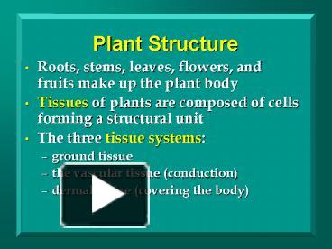 Plant Structure presentation | free to view