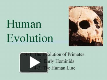 Human Evolution presentation | free to view