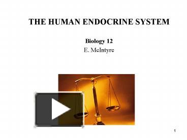 THE HUMAN ENDOCRINE SYSTEM presentation | free to view