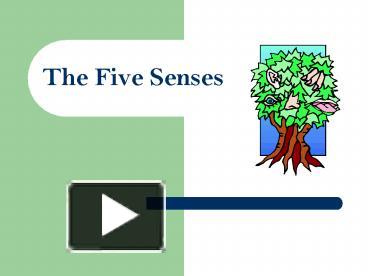 The Five Senses presentation | free to view