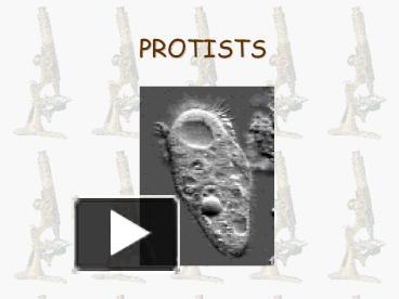 PPT – PROTISTS PowerPoint presentation | free to download - id: 216a5e ...