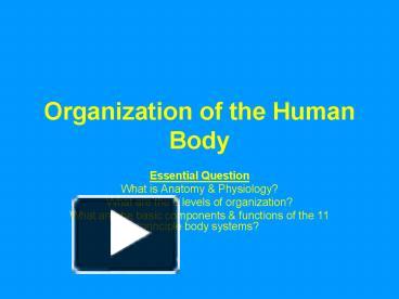 Organization of the Human Body presentation | free to view