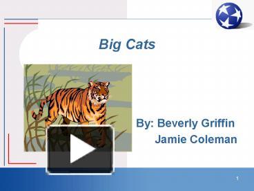 Big Cats presentation | free to download