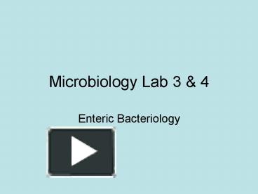 PPT – Microbiology Lab 3 PowerPoint presentation | free to view - id ...