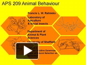 PPT – APS 209 Animal Behaviour PowerPoint presentation | free to view ...