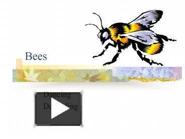 PPT – Bees PowerPoint presentation | free to view - id: 21b193-ZDc1Z