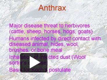 PPT – Anthrax PowerPoint presentation | free to view - id: 21b1be-ZDc1Z