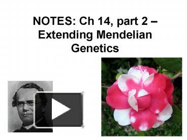 PPT – NOTES: Ch 14, part 2 Extending Mendelian Genetics PowerPoint ...