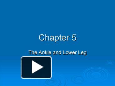 PPT – The Ankle and Lower Leg PowerPoint presentation | free to view ...