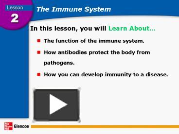 PPT – The Immune System PowerPoint presentation | free to view - id ...