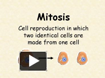 PPT – Mitosis PowerPoint presentation | free to view - id: 220d39-ZDc1Z