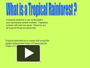 PPT – A tropical rainforest is one on the earths PowerPoint ...