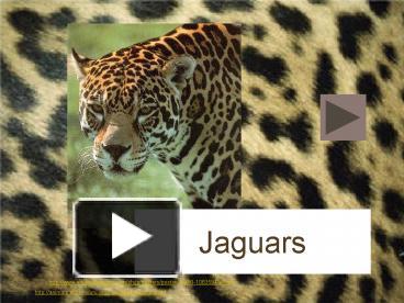 Jaguars presentation | free to view