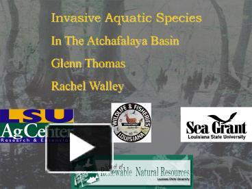 PPT – Invasive Aquatic Species PowerPoint presentation | free to view ...