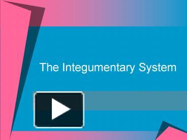 PPT – The Integumentary System PowerPoint presentation | free to view ...