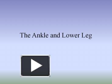 PPT – The Ankle and Lower Leg PowerPoint presentation | free to view ...
