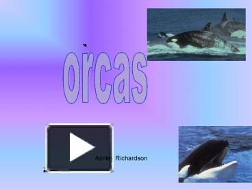 orcas presentation | free to view